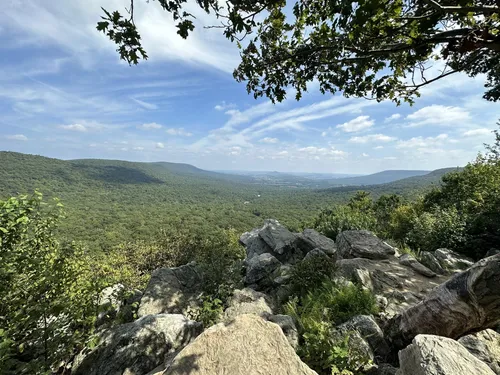 2023 Best Forest Trails in New Ringgold | AllTrails