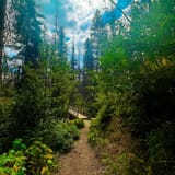 Morrell Falls National Recreation Trail, Montana - 507 Reviews, Map ...