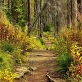 Morrell Falls National Recreation Trail, Montana - 507 Reviews, Map ...