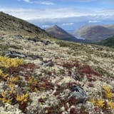 Slaughter Ridge Trail, Alaska - 825 Reviews, Map | AllTrails