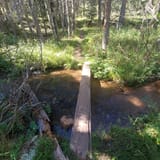 Heizer Trail, Colorado - 1,028 Reviews, Map | AllTrails