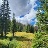 Timber Lake Trail, Colorado - 569 Reviews, Map | AllTrails