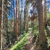 Timber Lake Trail, Colorado - 569 Reviews, Map | AllTrails