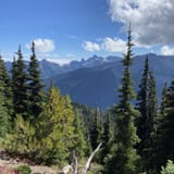 Burroughs Mountain Loop Trail, Washington - 2,197 Reviews, Map | AllTrails