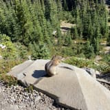 Burroughs Mountain Loop Trail, Washington - 2,197 Reviews, Map | AllTrails