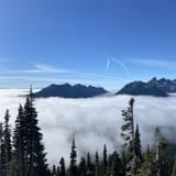 Burroughs Mountain Loop Trail, Washington - 2,197 Reviews, Map | AllTrails