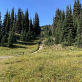 Burroughs Mountain Loop Trail, Washington - 2,199 Reviews, Map | AllTrails