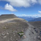 Burroughs Mountain Loop Trail, Washington - 2,199 Reviews, Map | AllTrails