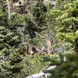 Slater Lake via Chinns Lake Road, Colorado - 113 Reviews, Map | AllTrails