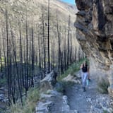 Cascade Falls, Colorado - 1,509 Reviews, Map | AllTrails