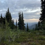Goat Lake, Cispus Pass, Nannie Ridge, and Klickitat Loop Trail ...