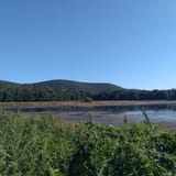 Liberty Loop Trail, New York - 416 Reviews, Map | AllTrails