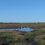 Liberty Loop Trail, New York - 416 Reviews, Map | AllTrails