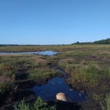 Liberty Loop Trail, New York - 416 Reviews, Map | AllTrails