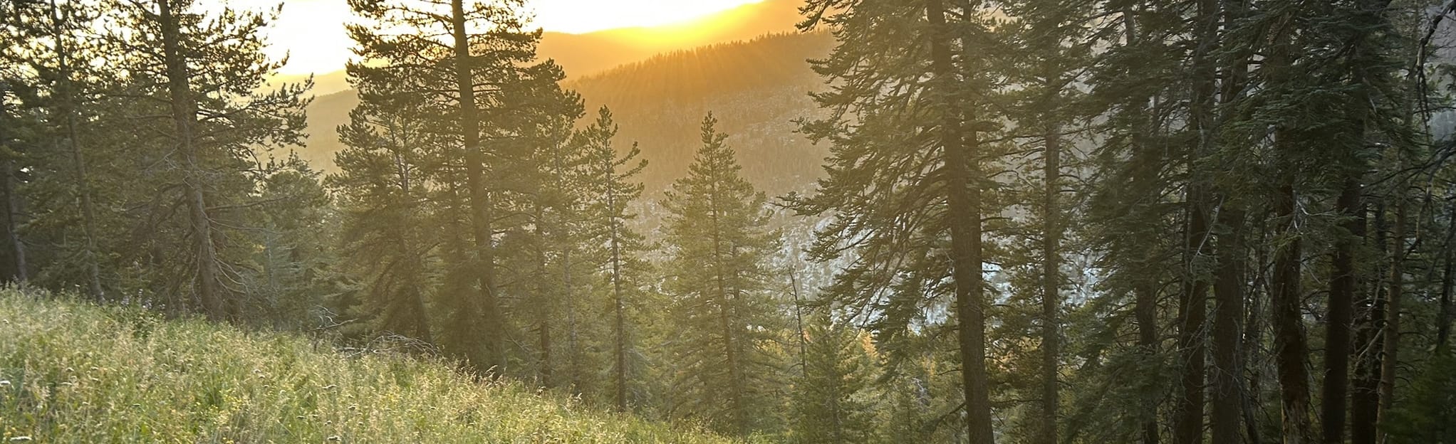 Lake Thomas Edison Loop via Bear Ridge, California - 4 Reviews, Map ...