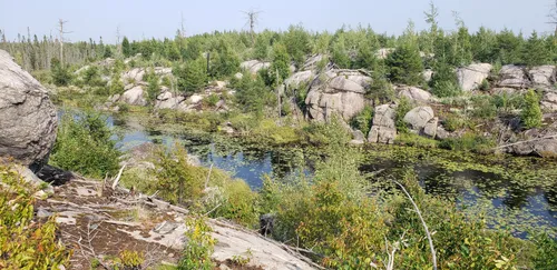 Best Backpacking Trails in Stony River | AllTrails