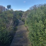 Bundeena to Wedding Cake Lookout, New South Wales, Australia - 238 ...