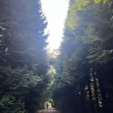 South County Bike Path, Rhode Island - 858 Reviews, Map | AllTrails