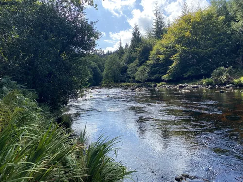 2023 Best River Trails in Ballinderry | AllTrails
