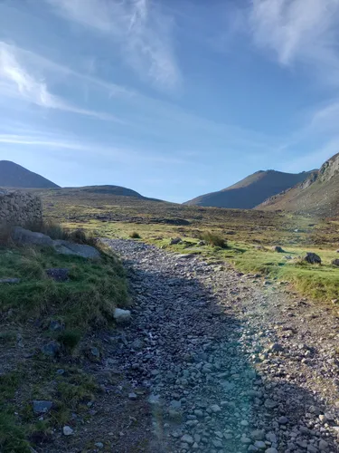 10 Best Forest Trails in Northern Ireland | AllTrails