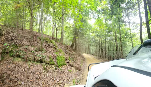 2023 Best Off Road Driving Trails in Prentice Cooper State Forest ...