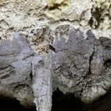 Packsaddle Cave Trail, California - 519 Reviews, Map | AllTrails