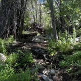 Packsaddle Cave Trail, California - 516 Reviews, Map | AllTrails