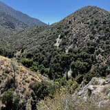 Packsaddle Cave Trail, California - 516 Reviews, Map | AllTrails