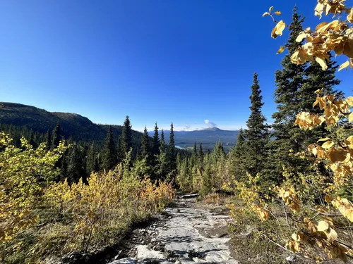 10 Best Trails and Hikes in Whitehorse | AllTrails