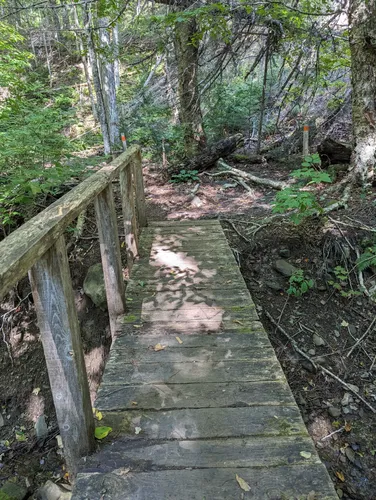 2023 Best River Trails in Red Bridge | AllTrails