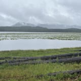 Riddle Lake Trail, Montana - 189 Reviews, Map | AllTrails