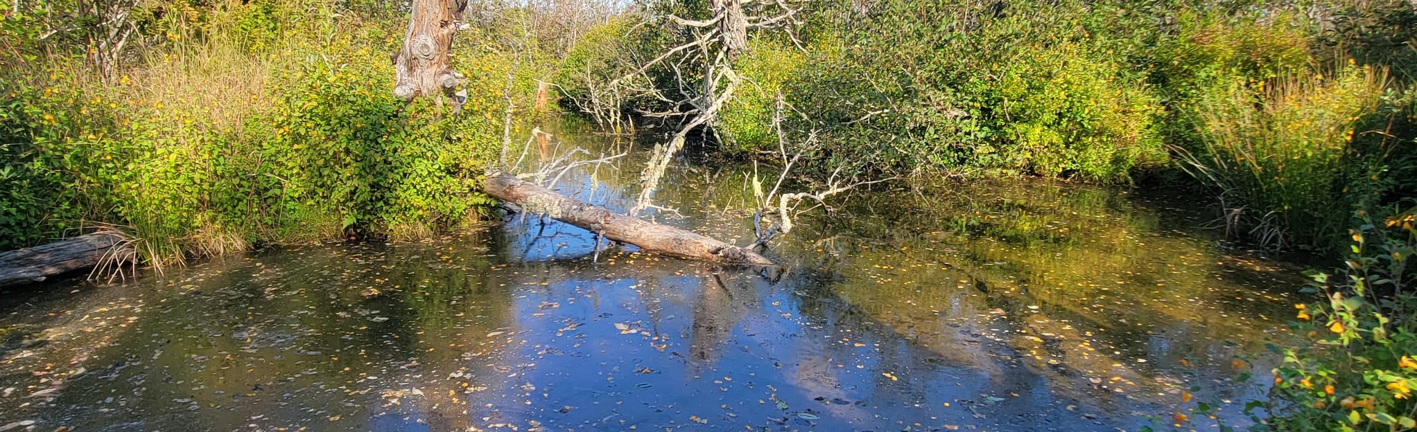 Bubbling Springs Trail: 39 Reviews, Map - Prince Edward Island, Canada ...