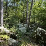 Arcadia Trail Loop, Rhode Island - 279 Reviews, Map | AllTrails