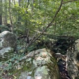 Arcadia Trail Loop, Rhode Island - 279 Reviews, Map | AllTrails