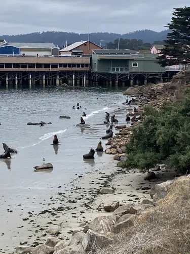 2023 Best 10 Trails and Hikes in Monterey | AllTrails