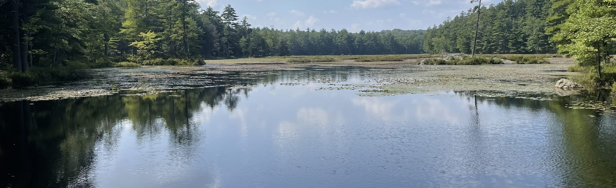 Black Fox Pond Trail: 54 Reviews, Map - New Hampshire | AllTrails