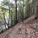Meadow Run Trail, Pennsylvania - 1,029 Reviews, Map | AllTrails