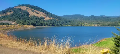 Best Lake Trails in Dorena | AllTrails