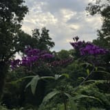 Guild Trail to Upper and Lower Truck Trail Loop, Tennessee - 110 ...