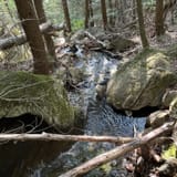 Scenic Trail Cut-off and Maiden Cliff Trail, Maine - 1,331 Reviews, Map ...