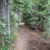 Todd Lake Loop, Oregon - 705 Reviews, Map | AllTrails
