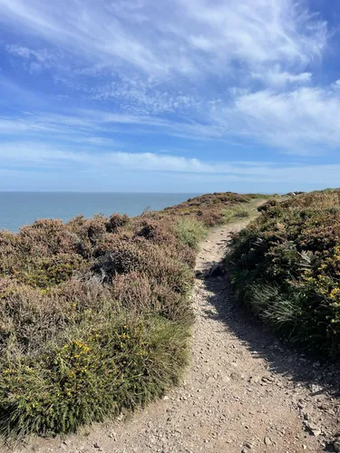 10 Best Trails and Hikes in Howth | AllTrails