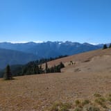 Sunrise View Point via High Ridge Nature Trail, Washington - 733 ...