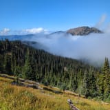Sunrise View Point via High Ridge Nature Trail, Washington - 798 ...