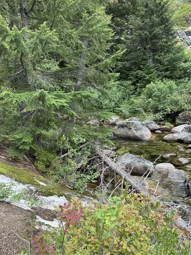 Best Hikes and Trails in Priest Lake State Park | AllTrails