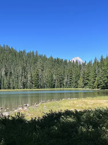 10 Best Snowshoeing Trails in Mount Hood National Forest | AllTrails