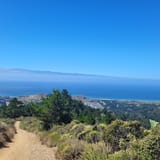 Sweeney Ridge Trail via Sneath Lane, California - 1,038 Reviews, Map ...