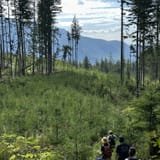 Lake Isabel Trail #1080, Washington - 403 Reviews, Map | AllTrails