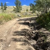 Jackson Peak Trail, Wyoming - 262 Reviews, Map | AllTrails