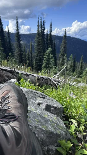 Best Hikes and Trails in Mara Lookout Recreation Site | AllTrails